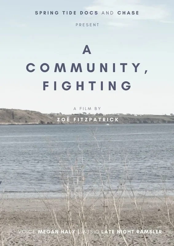 A Community, Fighting Poster