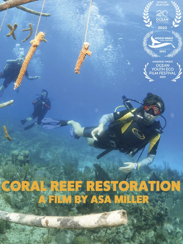 Coral Reef Restoration Poster